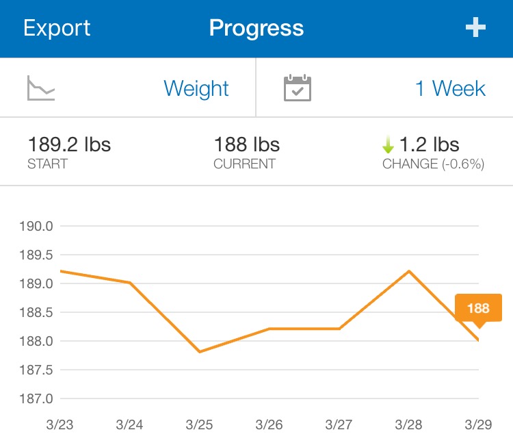 How To Properly Track Your Weight – Holistic Fitness Training